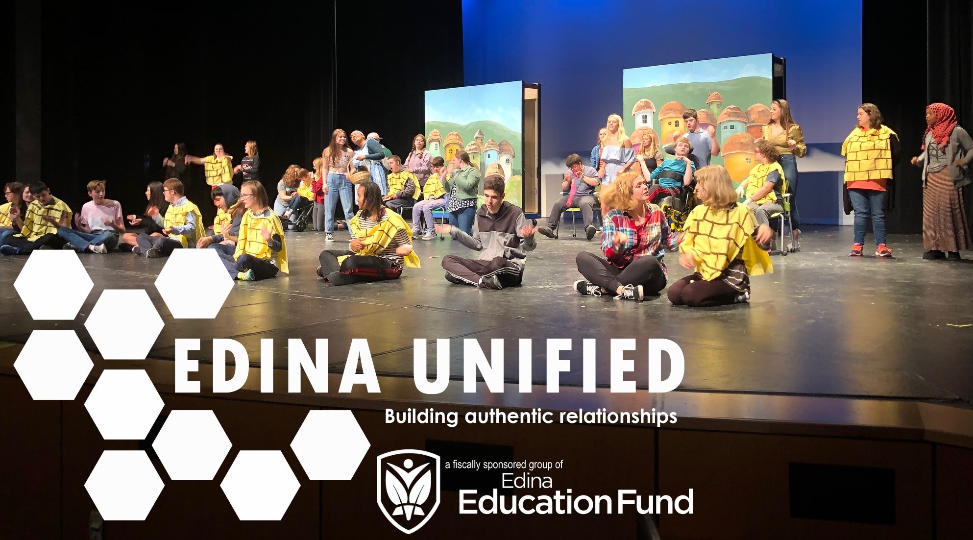 Special Education Edina Unified Fund
